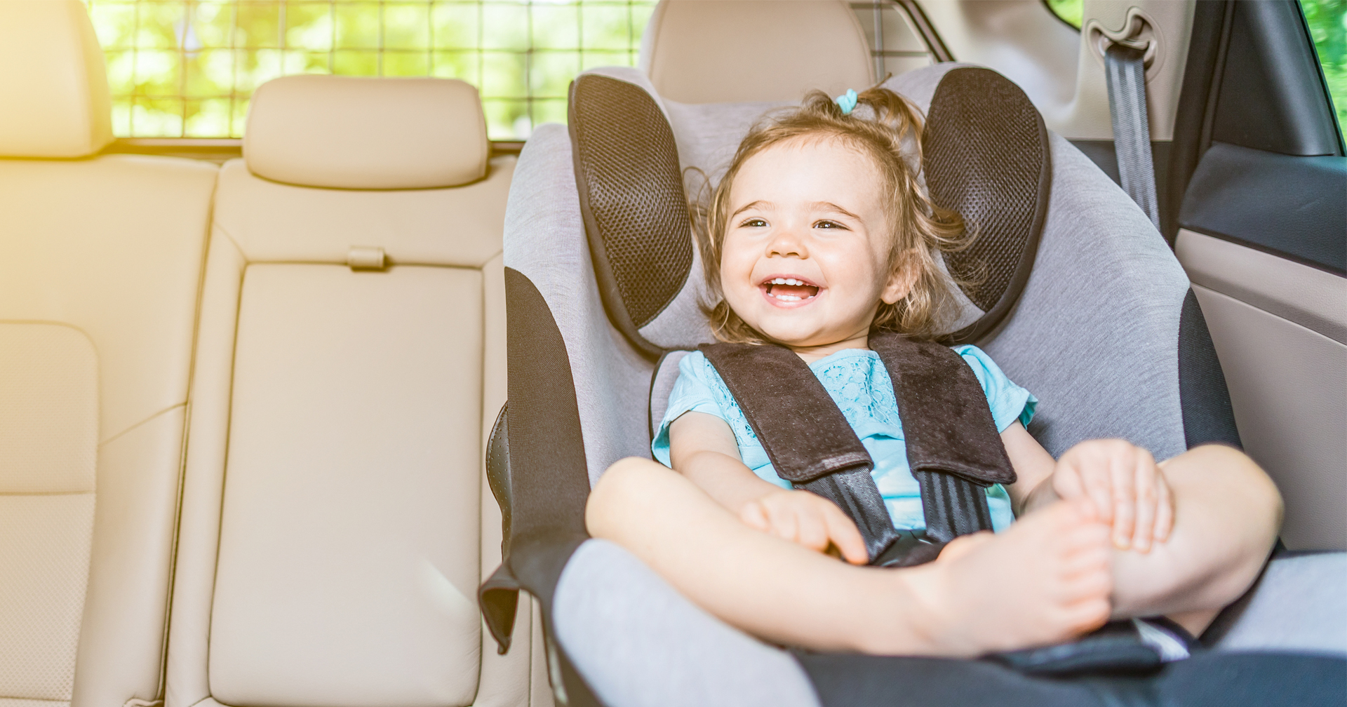 Presentation test bodies & child seats